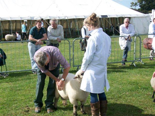 Ordering and postage – Rampisham Hill Farm