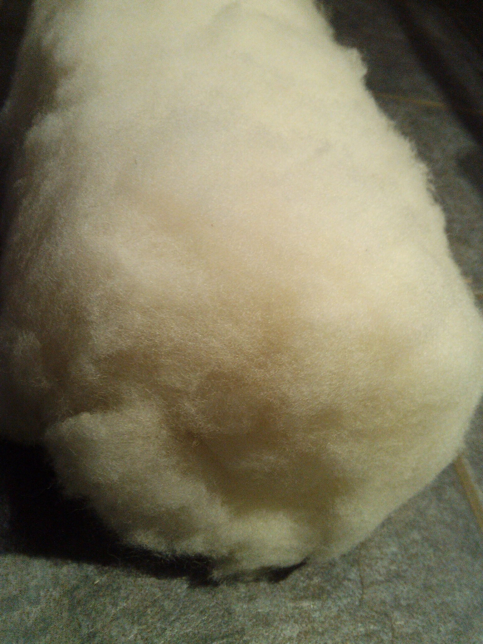 Wool & Raw fleeces – Rampisham Hill Farm